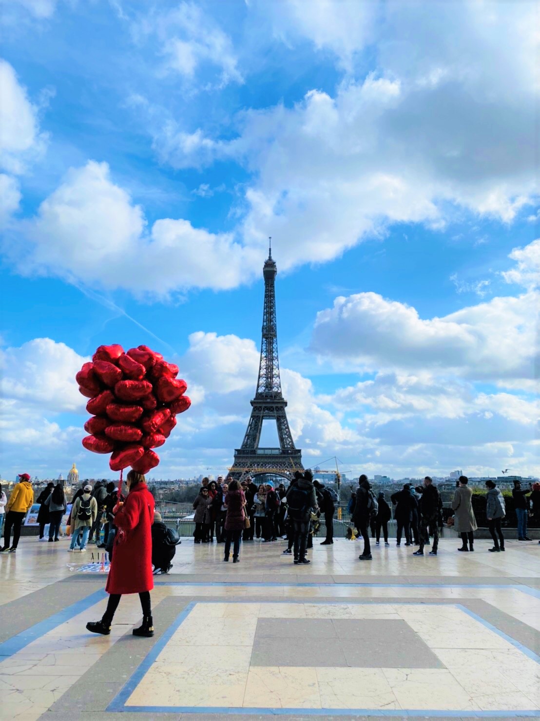 The construction of the Eiffel Tower by Hotel des Deux Continents
